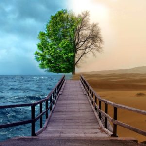 Nature - Life Coach Code