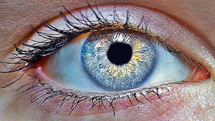 23 Strange Human Emotions Everybody Feels But Can't Explain